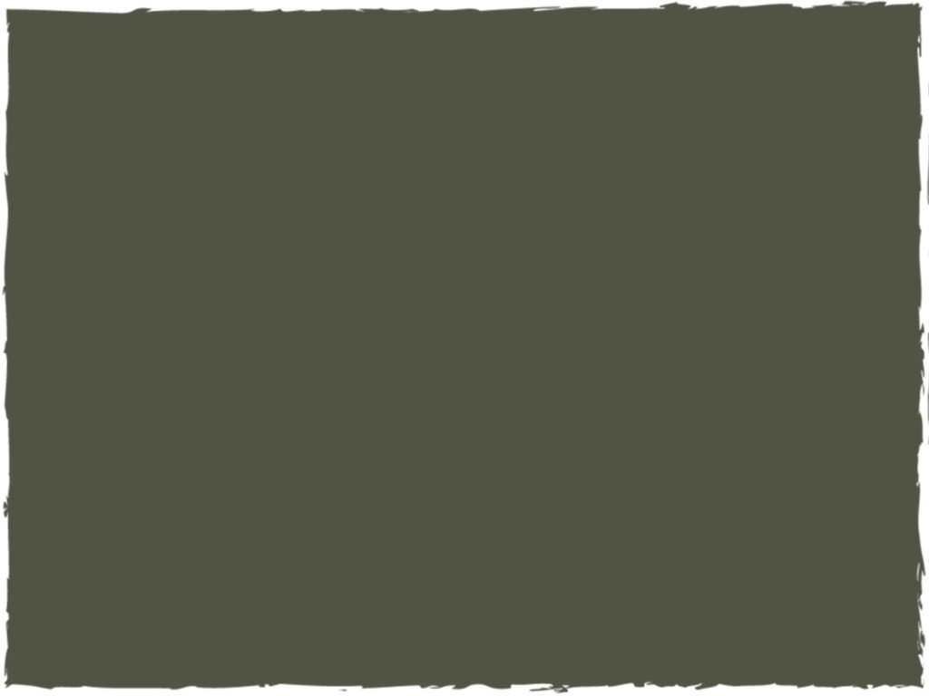 Vallejo Model Color acrylic paint - 70.894 Camouflage Olive Green ...